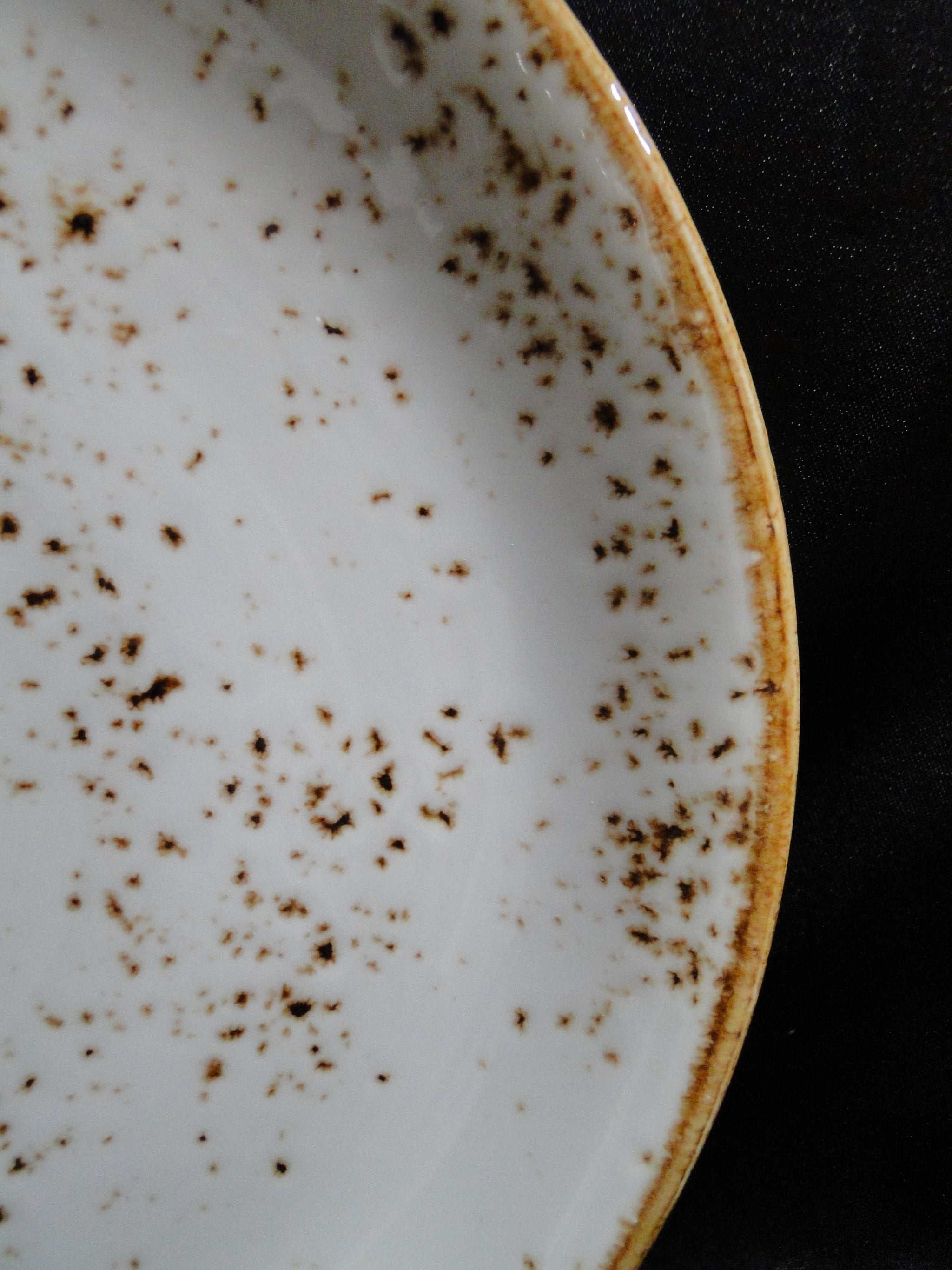 Steelite New Dinnerware — Dishes Encore